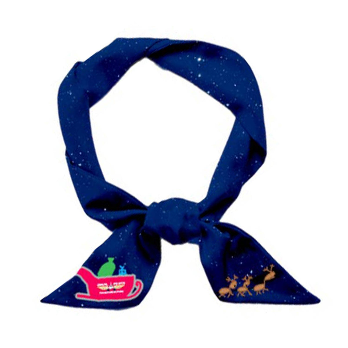 DPCF Holiday Sleigh Scarf - 2024 Holiday Tie Campaign – TieMart, Inc.