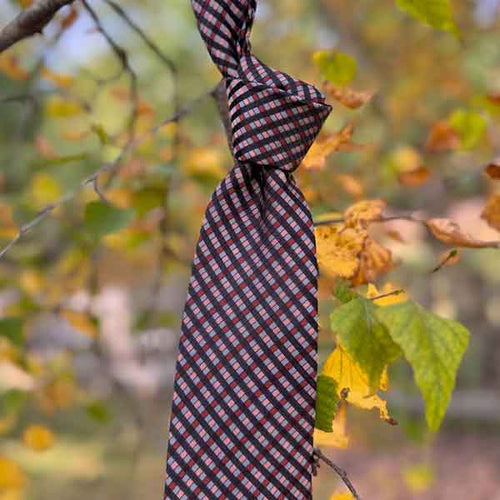 Men's Ties | Wedding, Business & School Neckties - TieMart – TieMart, Inc.